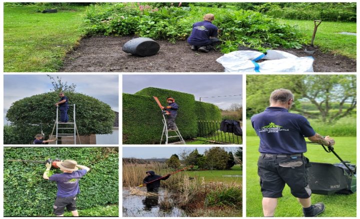 Garden Maintenance Services - Newmarket Garden Machinery Services